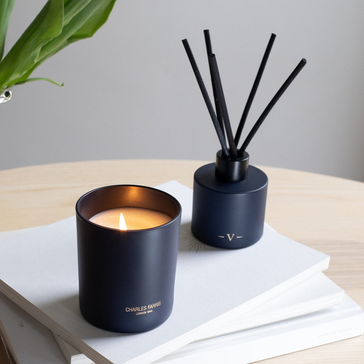 Spring Cleaning with Fragrance: Fresh Scents to Welcome the Season ...